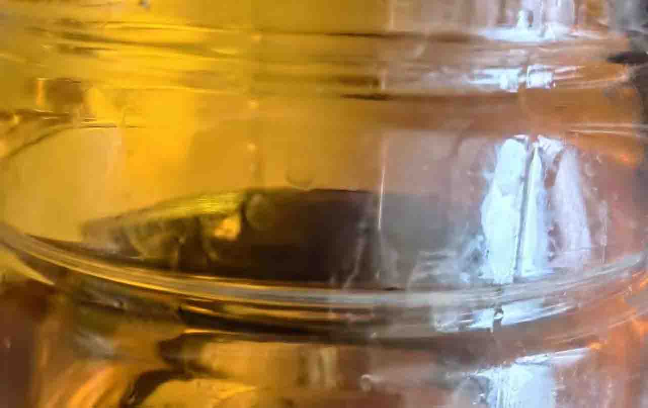 Ester Alcohol | Film forming auxiliary 25265-77-4
